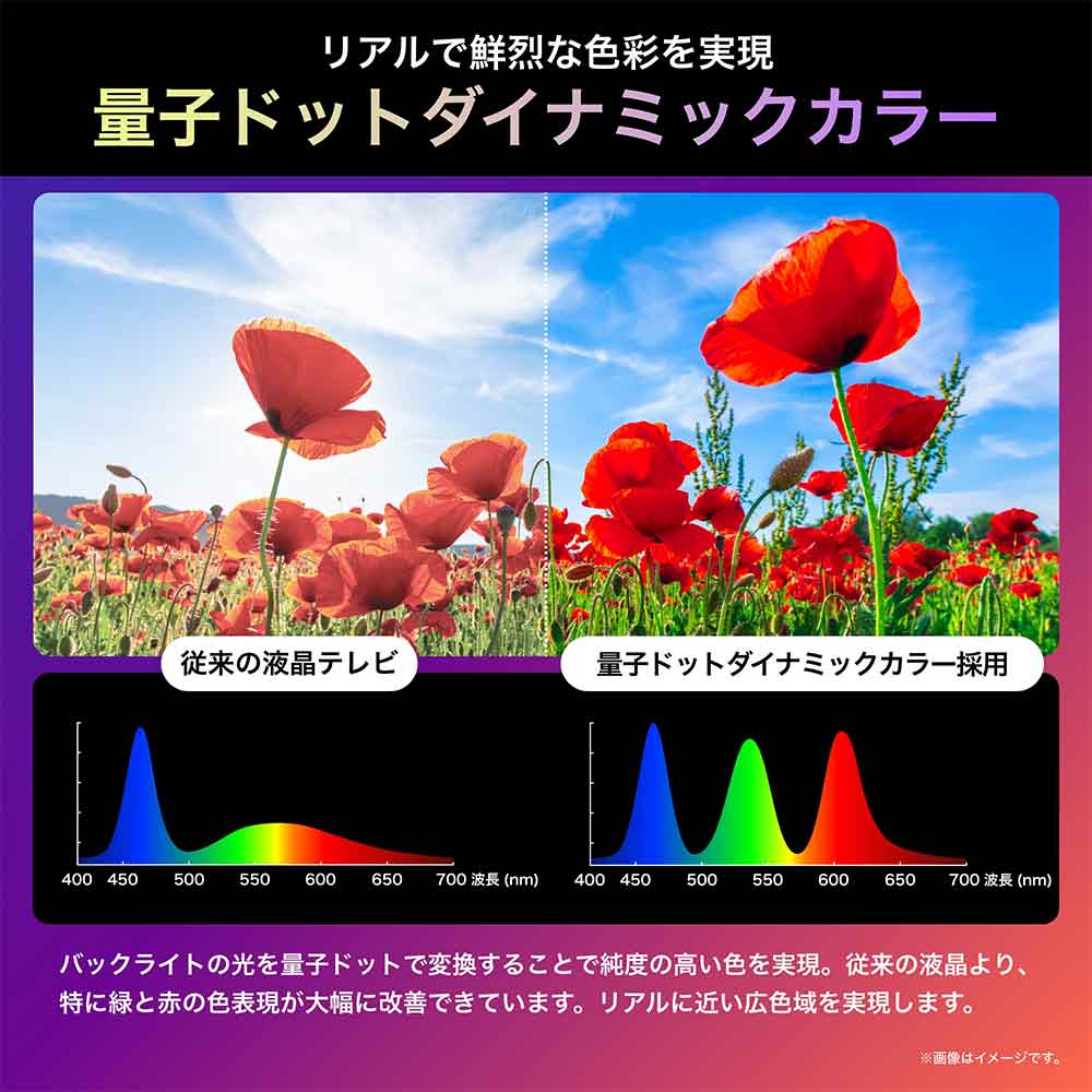 Hisense Hisense 75v型 Mini LED 4K液晶テレビ 75U9N Hisense Hisense 75v型 Mini LED 4K液晶テレビ 75U9N